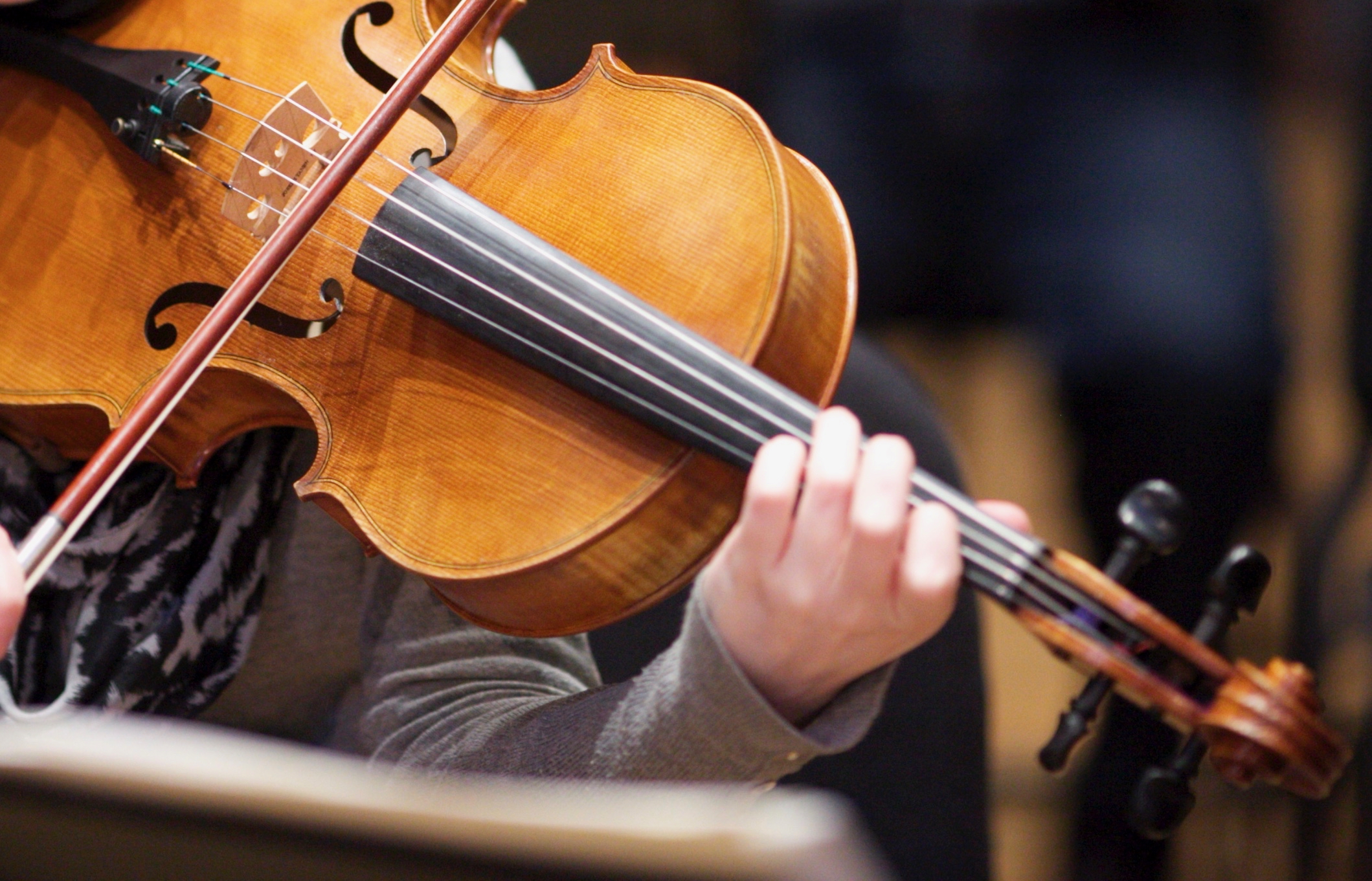 Viola | Princeton Symphony Orchestra