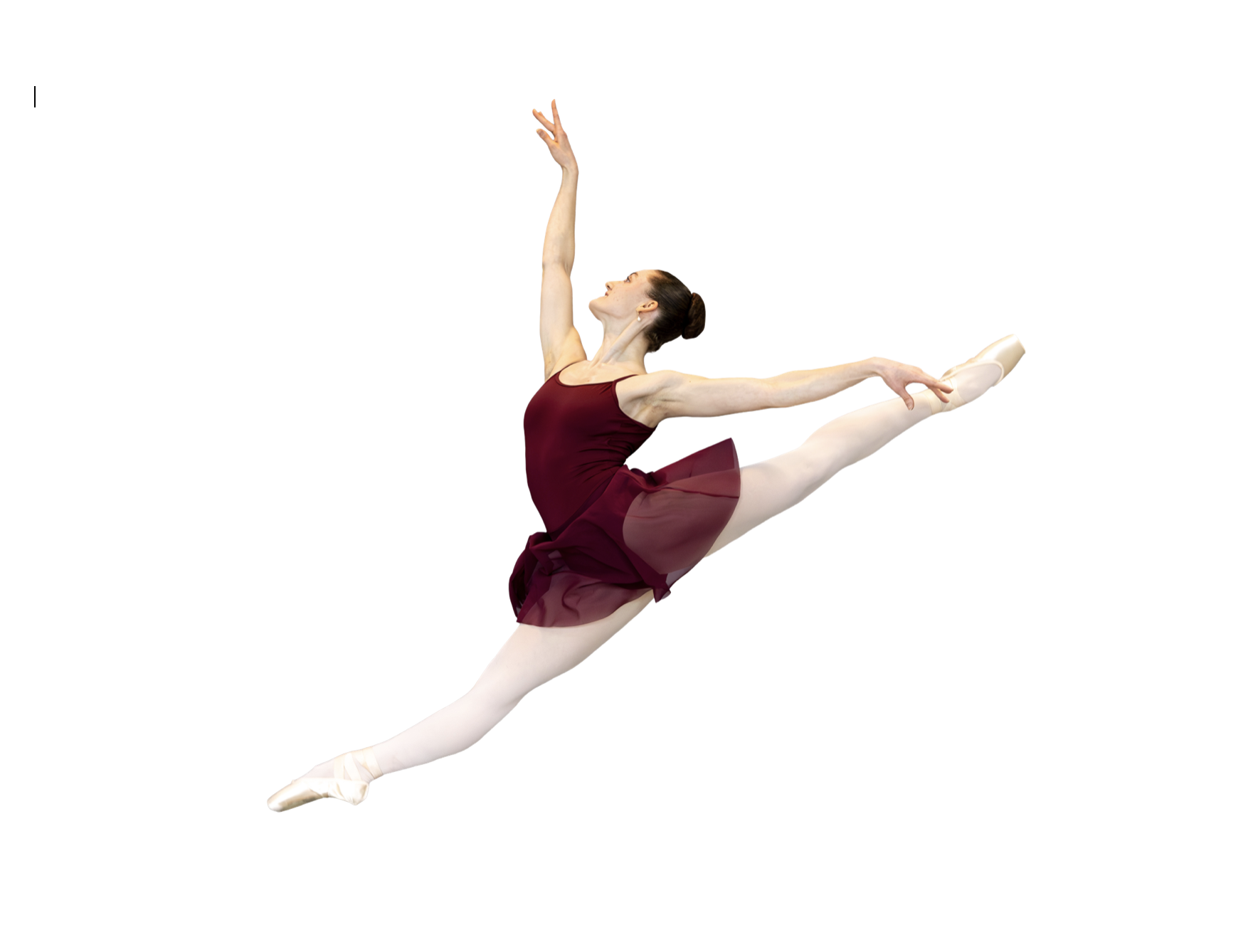 An Evening of Dance | Princeton Symphony Orchestra